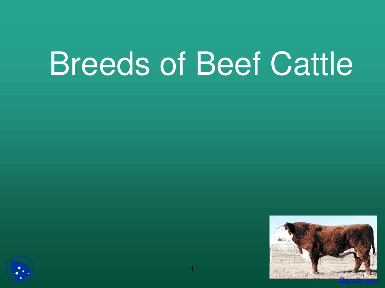 Breeds of Beef Cattle, Beef - Animal Science - Lecture Slides - Docsity