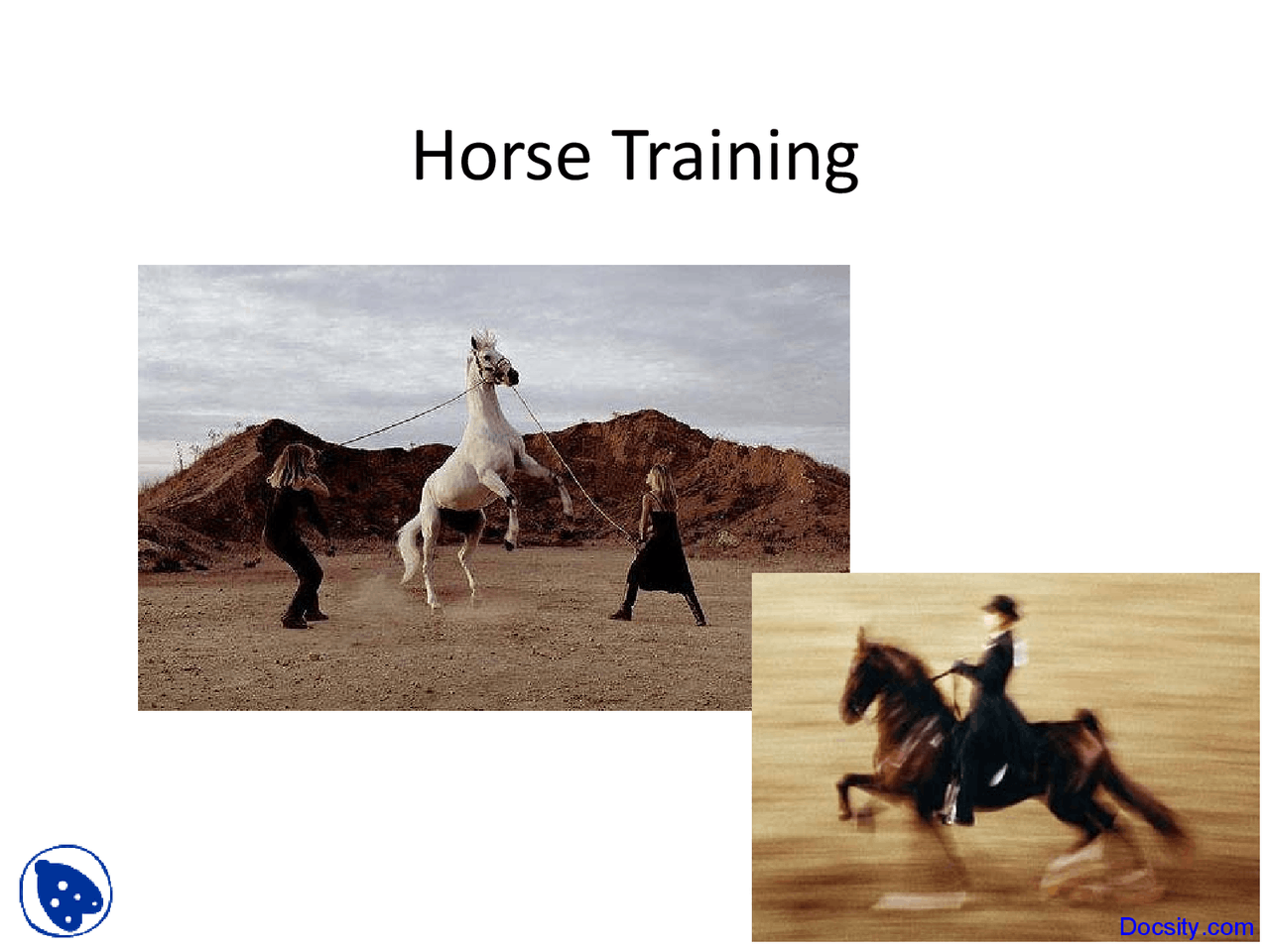 Horse Training, Equine - Animal Science - Lecture Slides | Slides ...