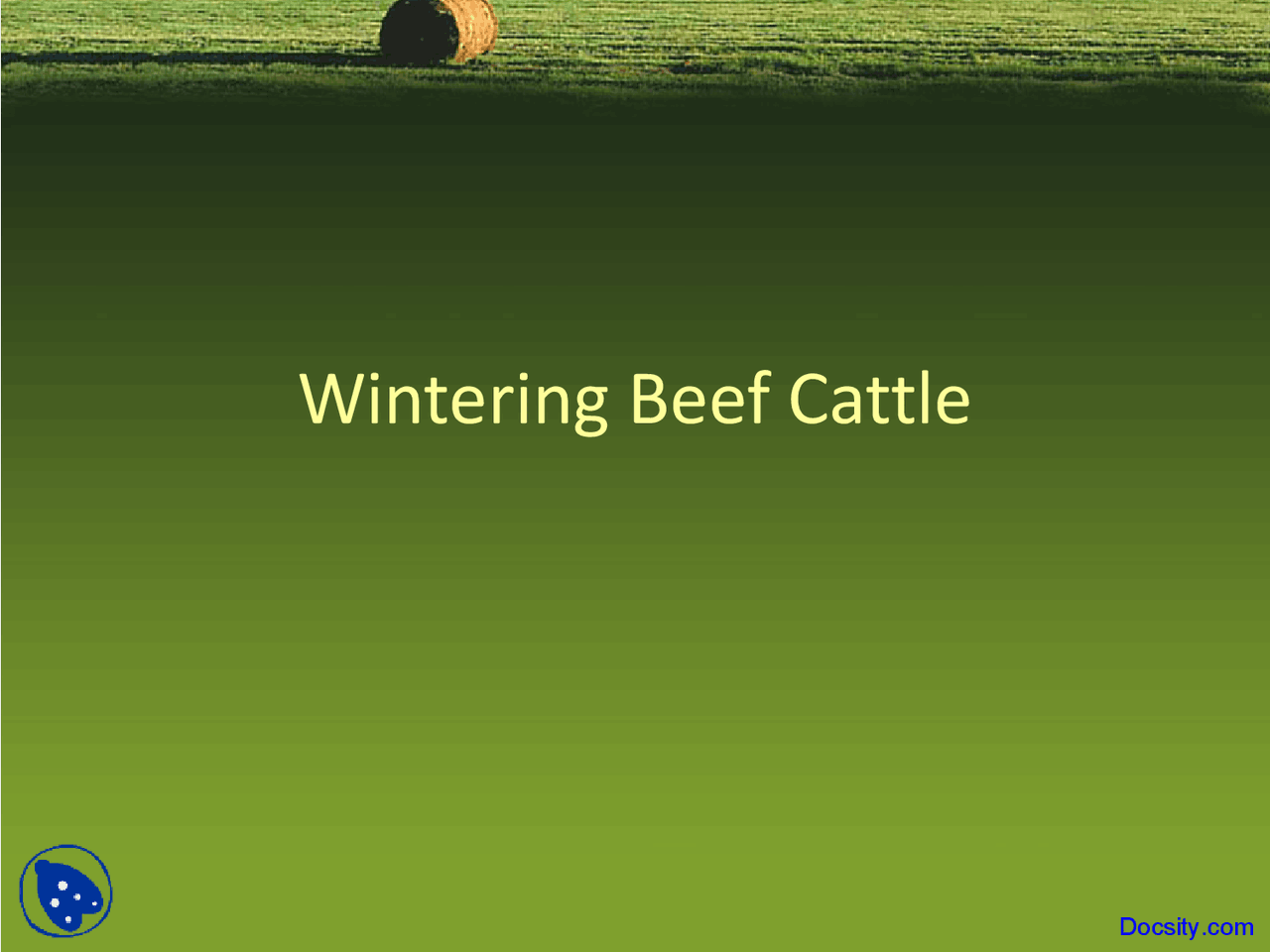 Wintering Beef Cattle, Beef - Animal Science - Lecture Slides - Docsity
