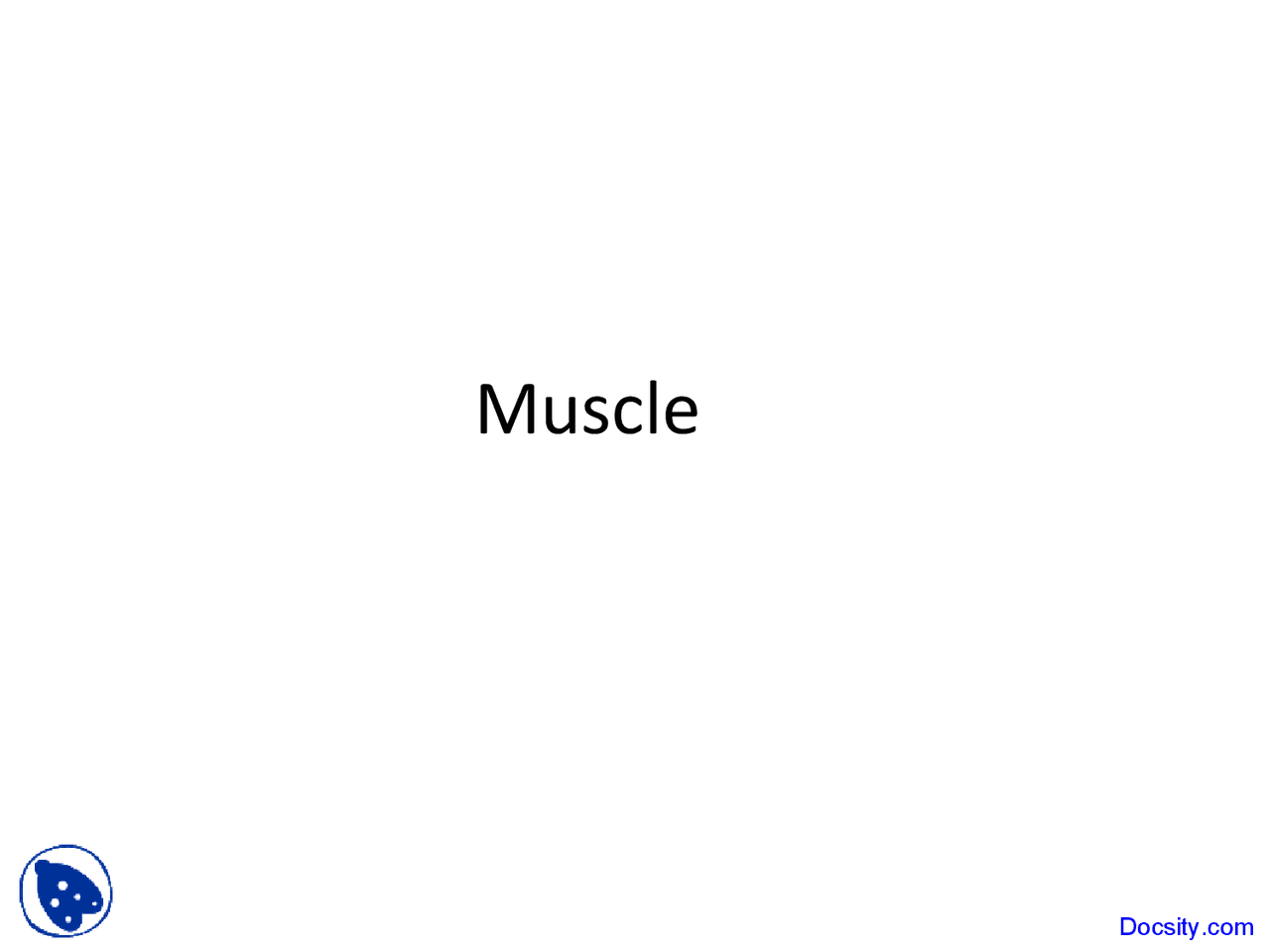 Muscle Fundametnals Of Biology Lecture Slides Docsity