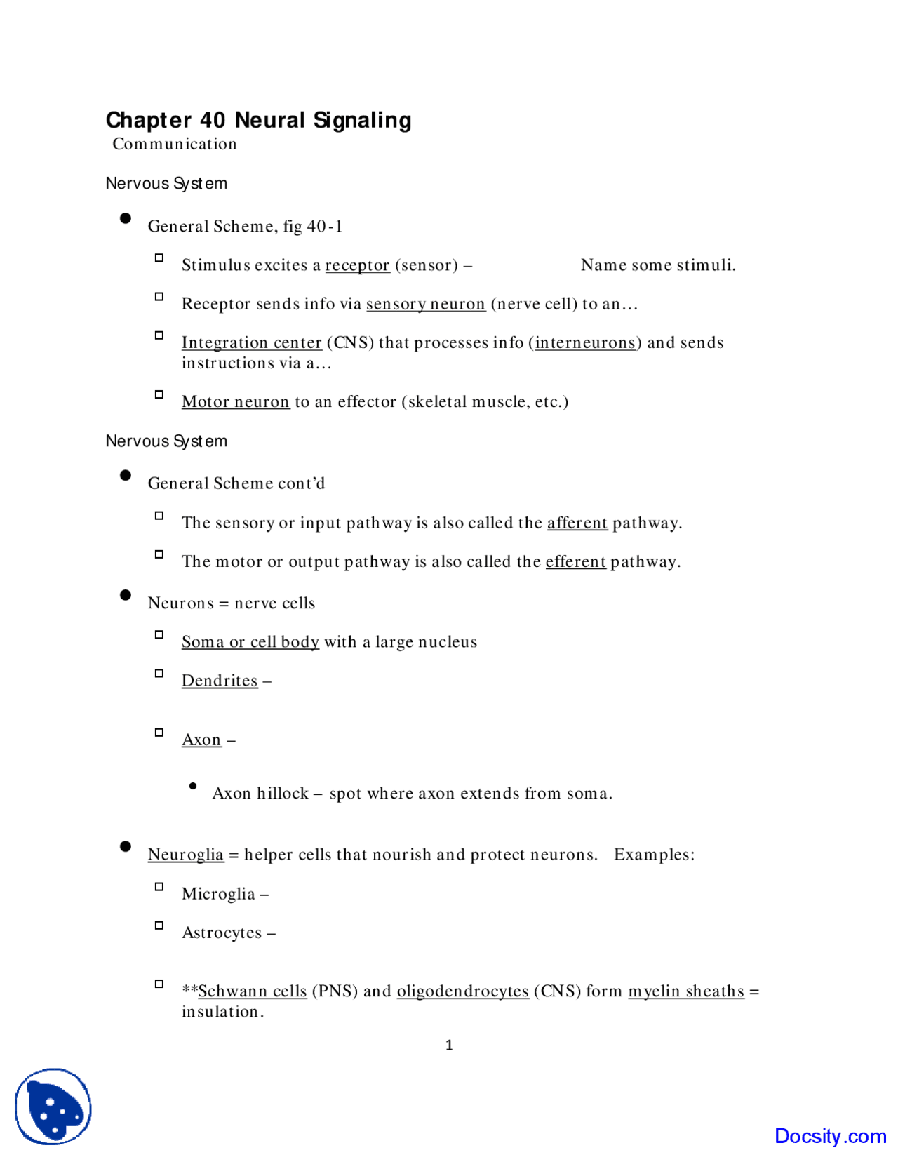 Neural Signaling Fundametnals Of Biology Lecture Notes Docsity