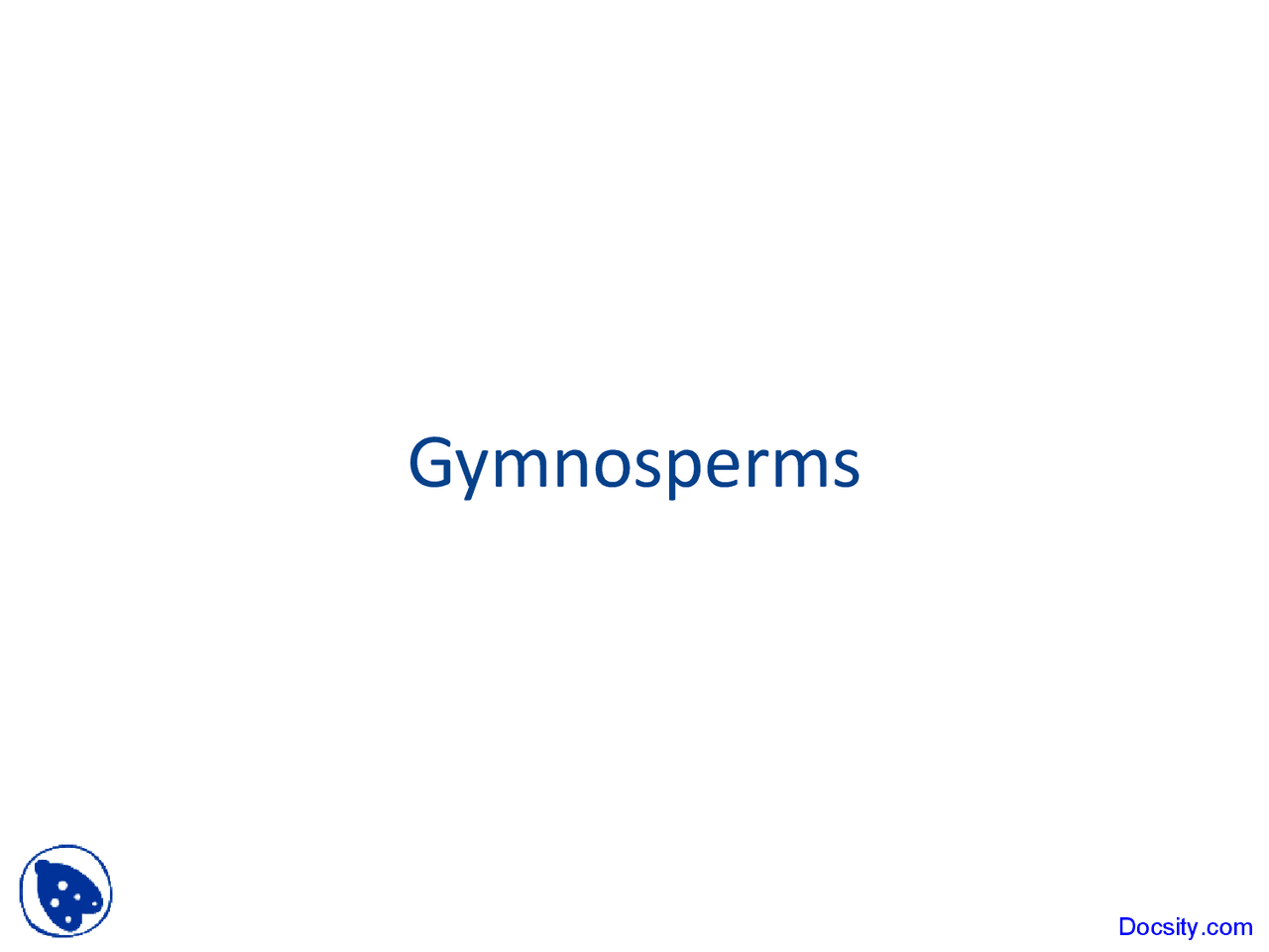 Gymnosperms Fundametnals Of Biology Lecture Slides Docsity