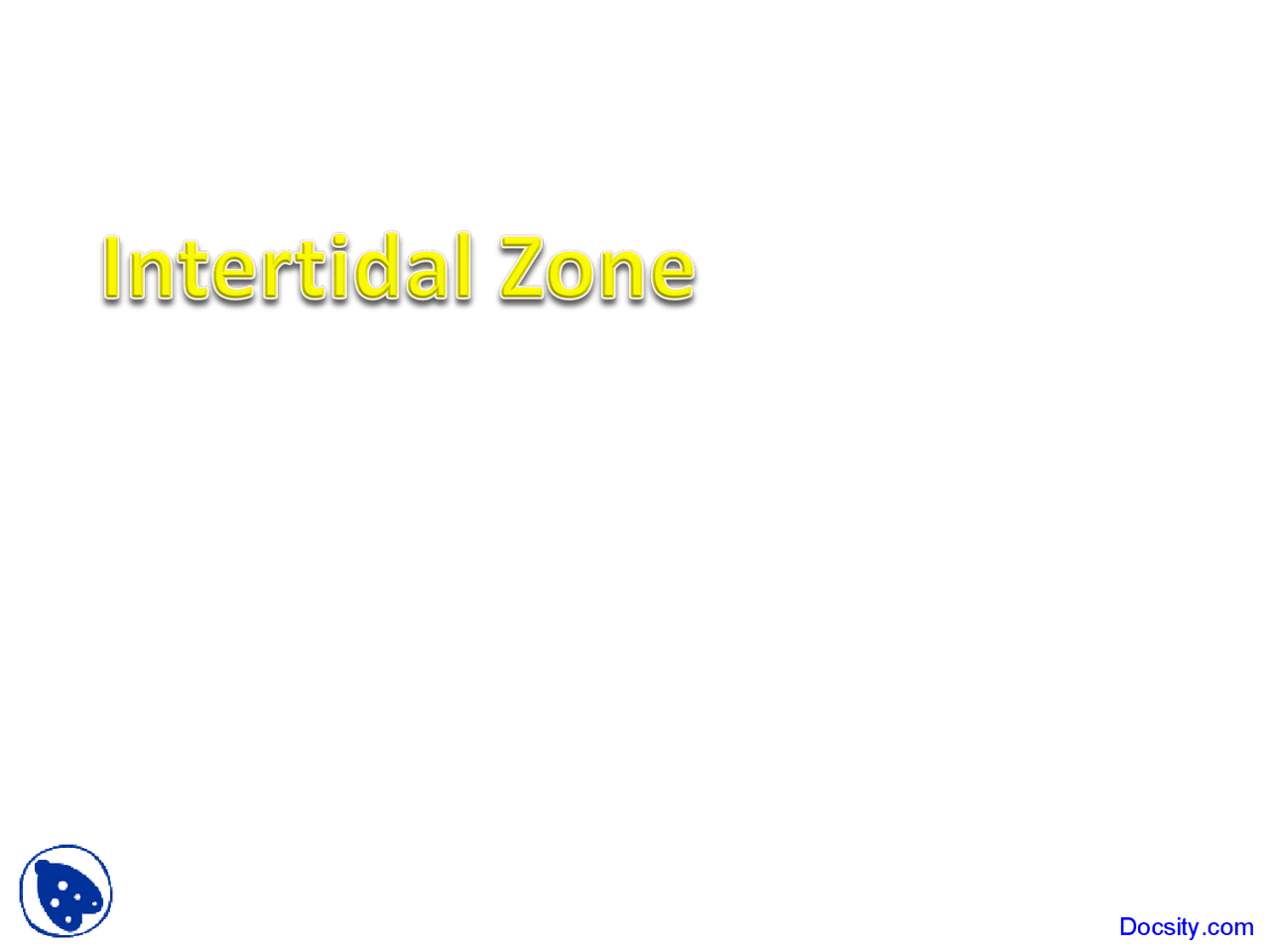 Intertidal Zone - General Ecology - Lecture Slides - Docsity