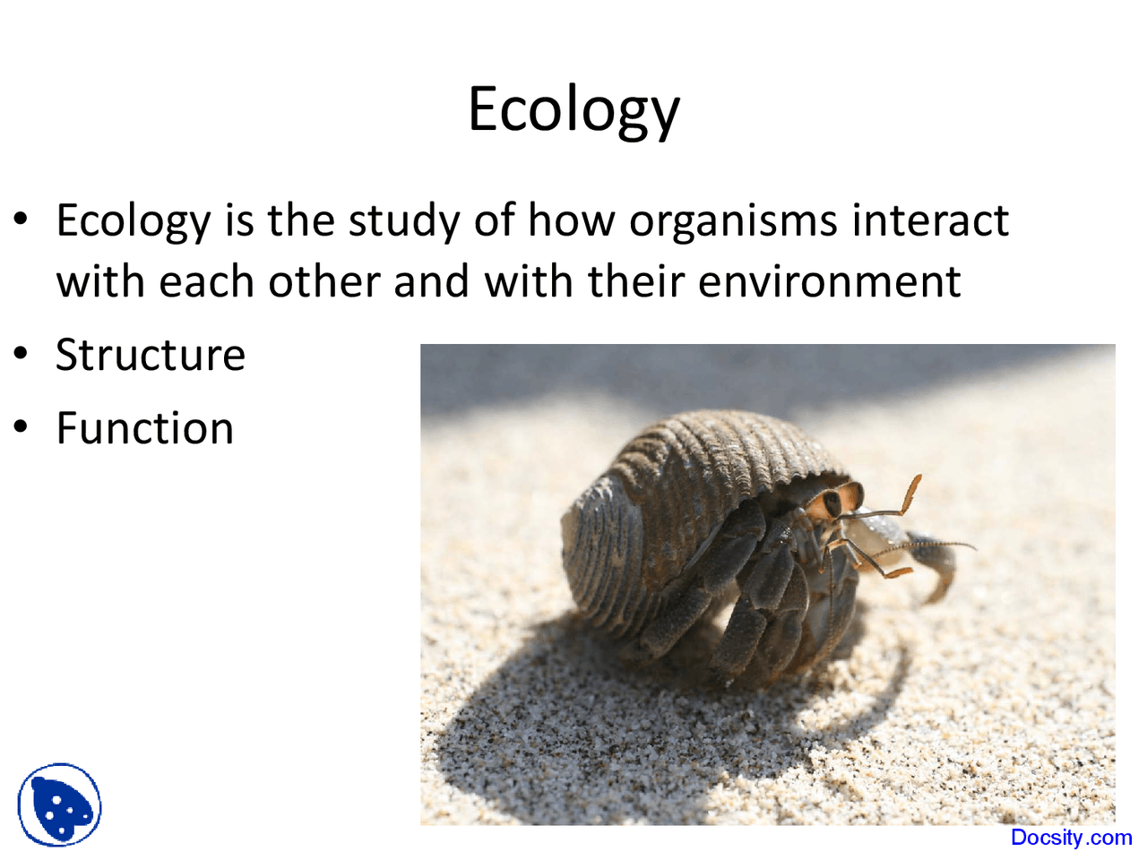 Ecology Modern Biology Lecture Slides Docsity