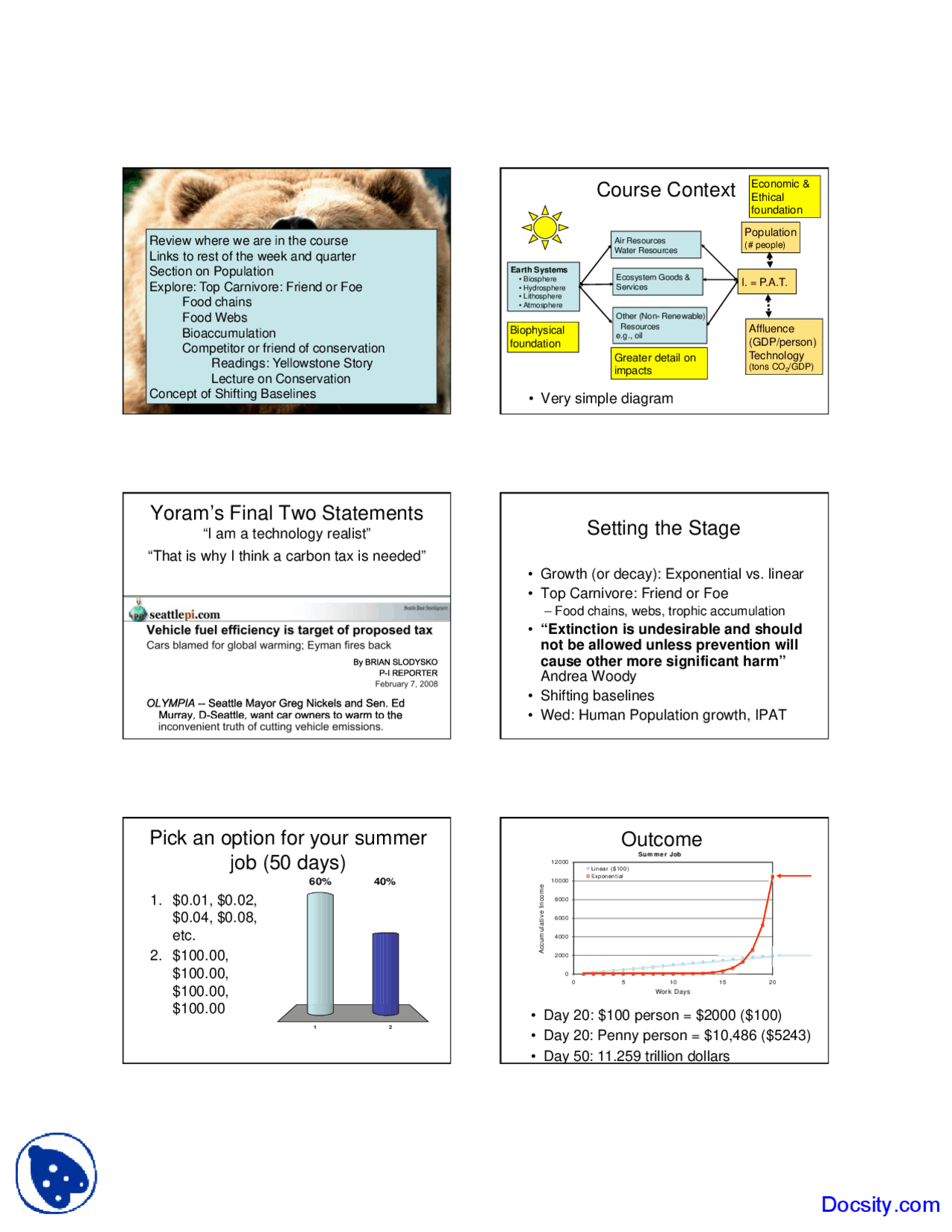 Food Chains Interdisciplinary Foundations Lecture Slides Docsity