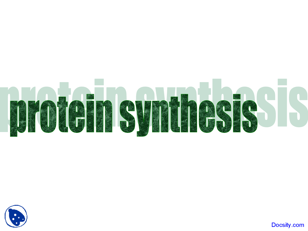 Protein Synthesis Environment And Ecology Lecture Slides Docsity