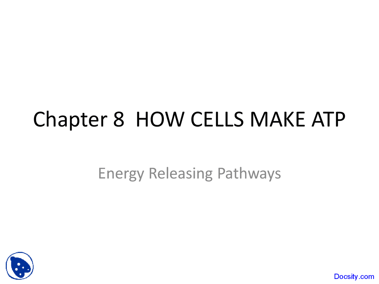 Energy Releasing Pathways Fundametnals Of Biology Lecture Slides