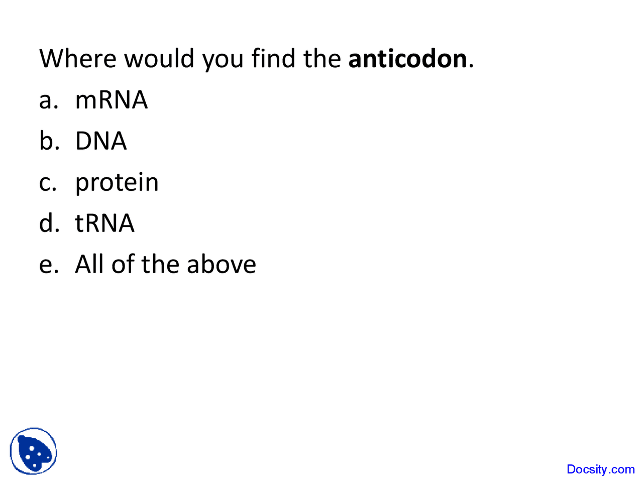 Anticodon Fundametnals Of Biology Lecture Slides Docsity