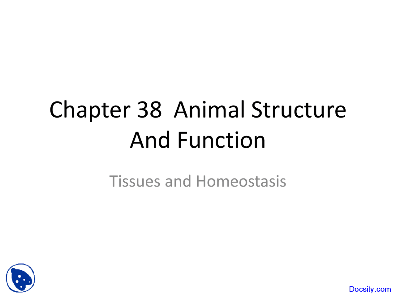Animal Structure and Function - Fundametnals of Biology - Lecture ...