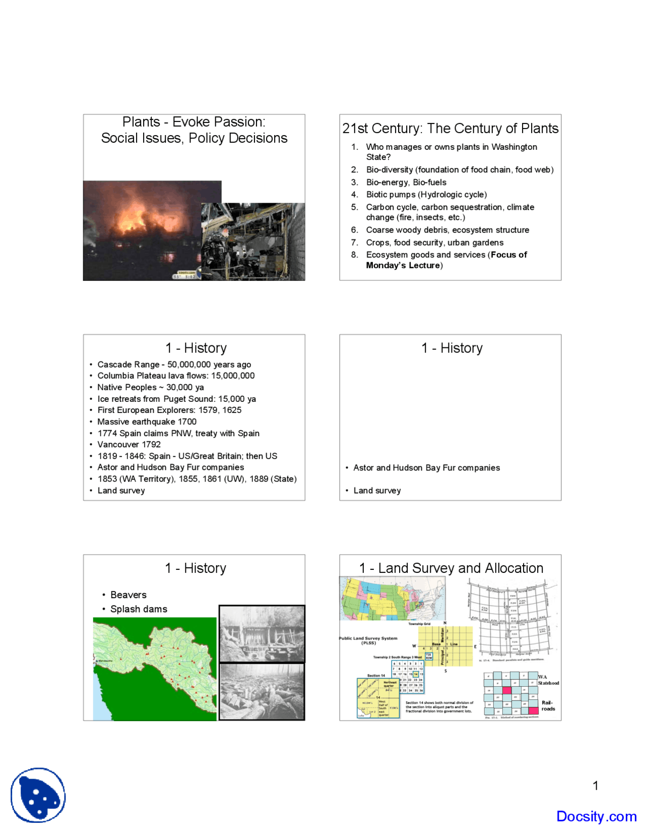 Plants Interdisciplinary Foundations Lecture Slides Docsity