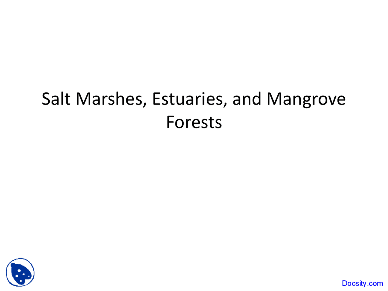 Salt Marshes Estuaries General Ecology Lecture Slides Docsity
