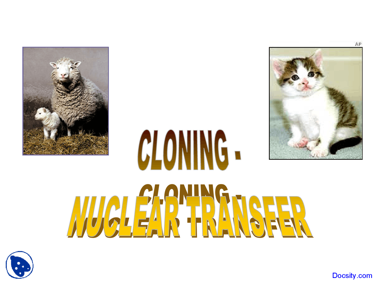 Cloning Environment And Ecology Lecture Slides Docsity