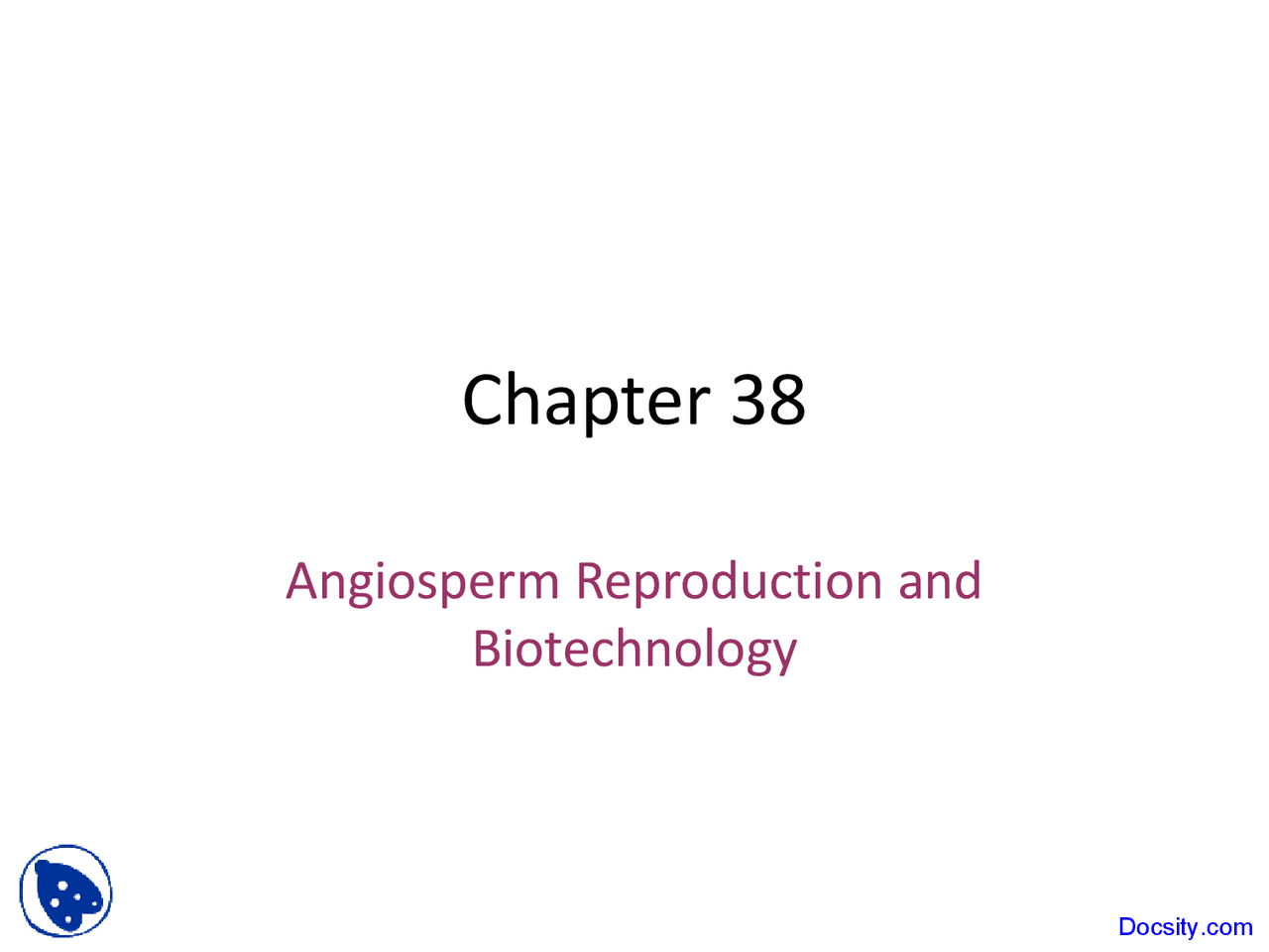 Angiosperm Reproduction Fundametnals Of Biology Lecture Slides