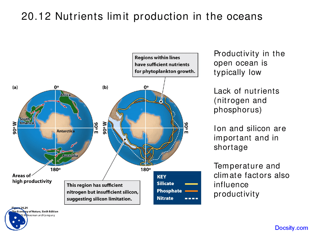 Nutrients Limit Production - Principles of Ecology - Lecture Slides ...