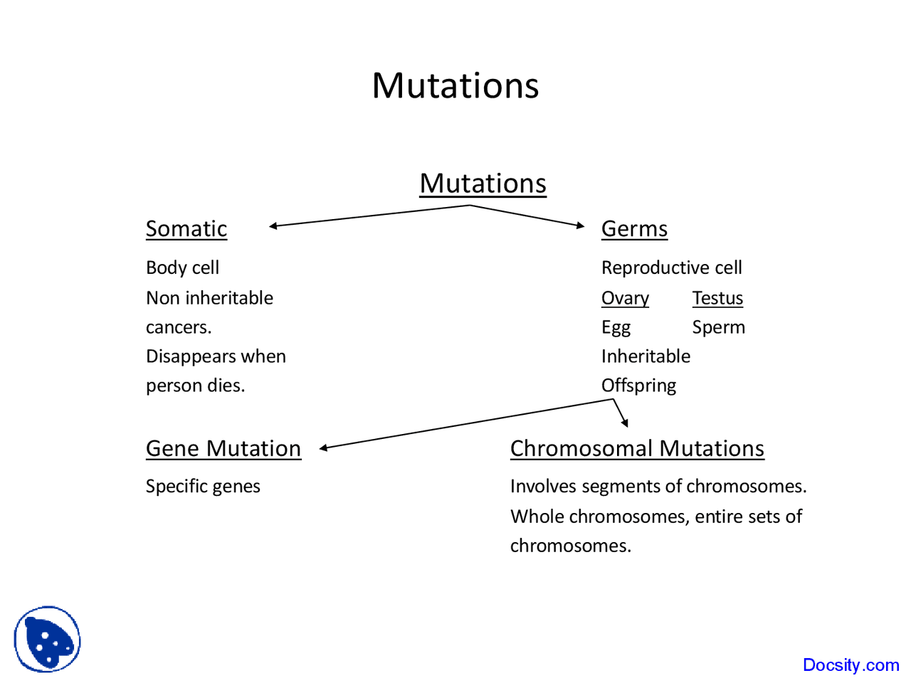 Gene Mutation - Environment and Ecology - Lecture Slides - Docsity