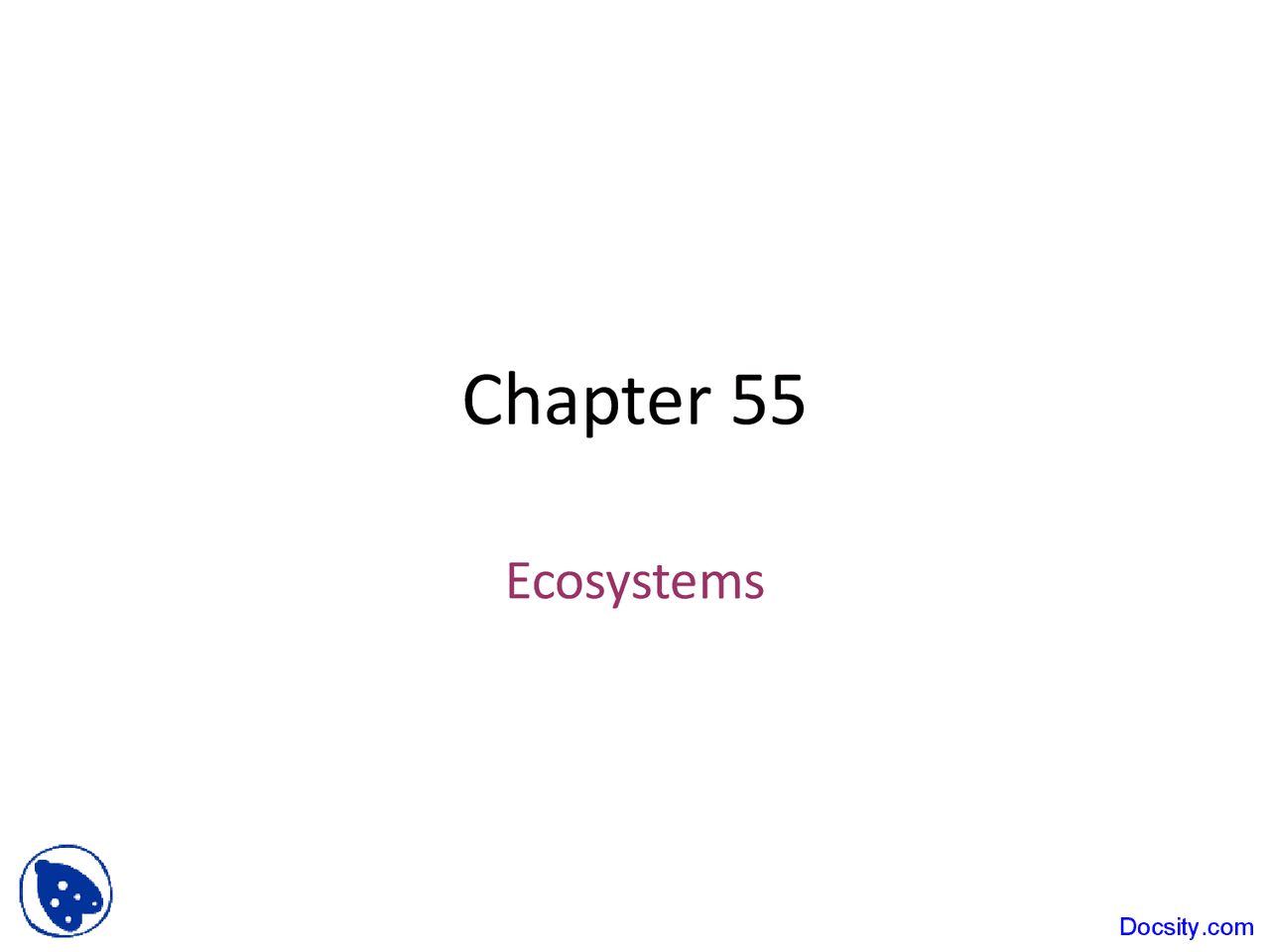 Ecosystems Fundametnals Of Biology Lecture Slides Docsity