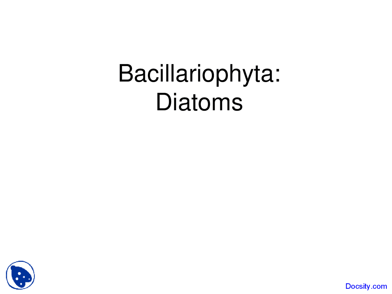 Bacillariophyta Limnology Lecture Slides Docsity