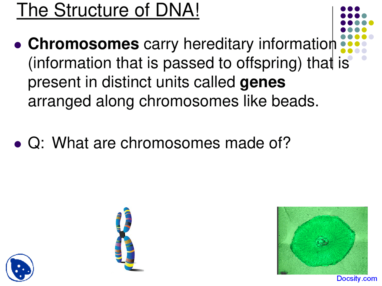 The Structure Of Dna Environment And Ecology Lecture Slides Docsity