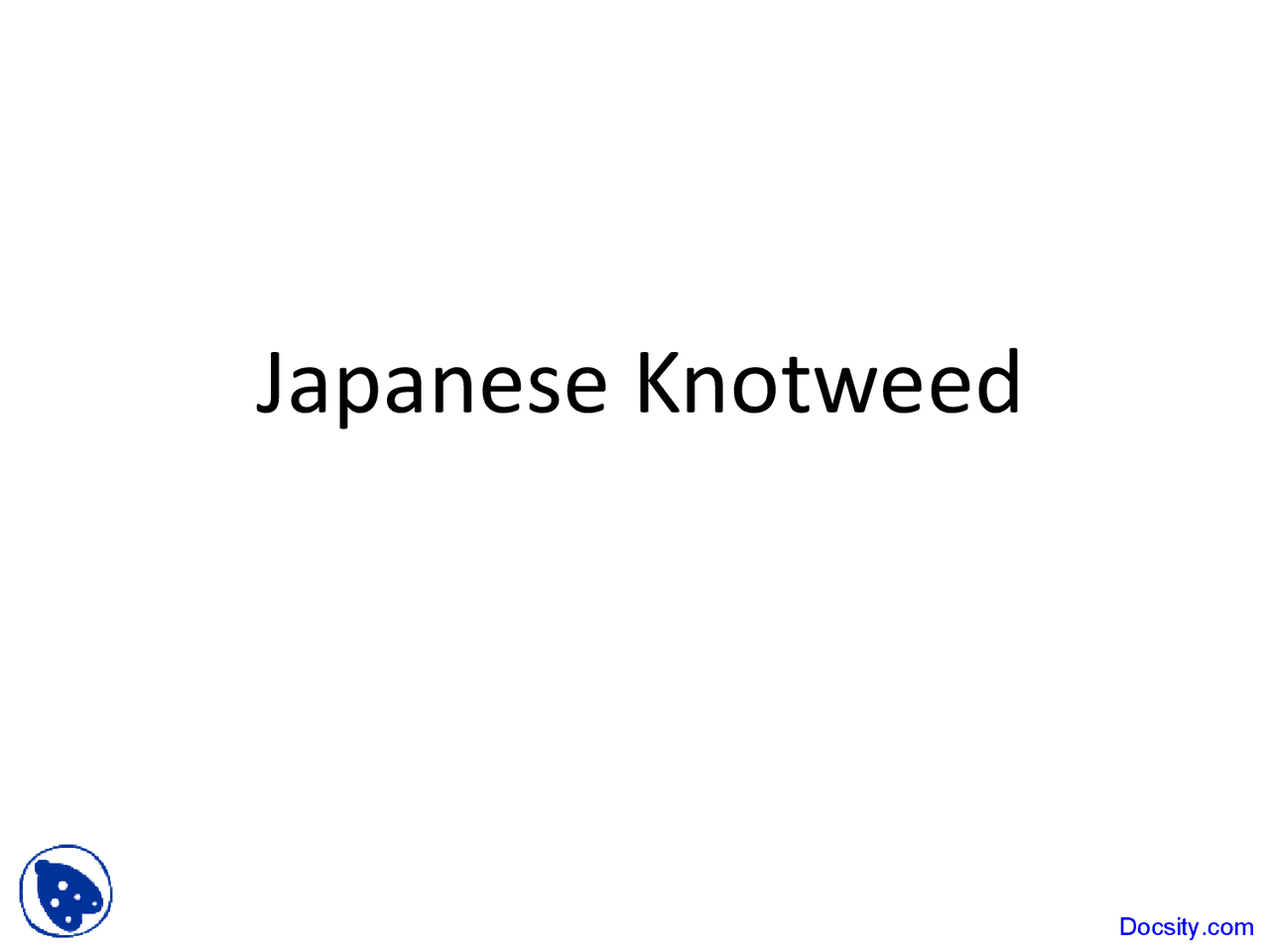 Japanese Knotweed Wetland And Riparian Ecology Lecture Slides Docsity