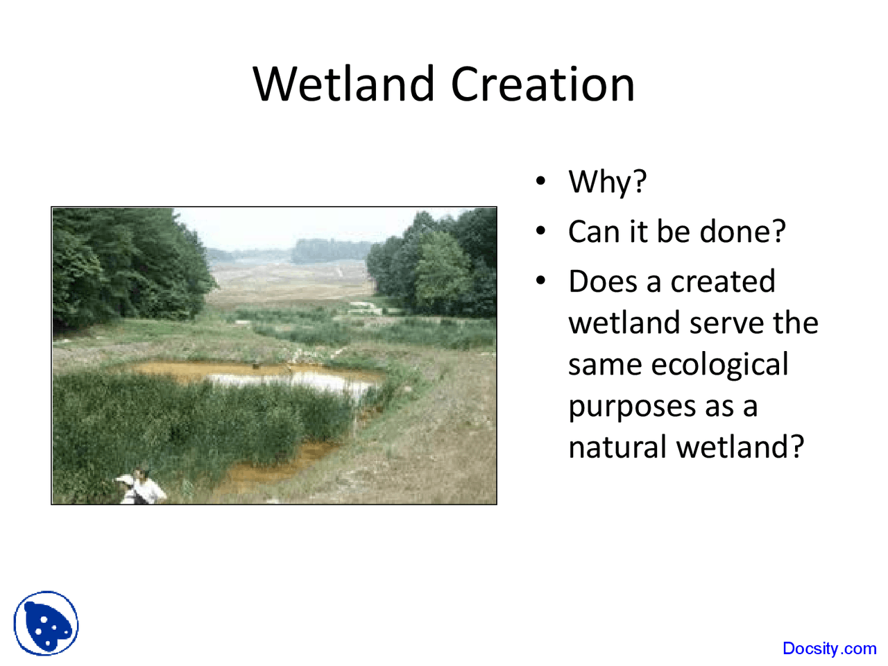 Wetland Creation Wetland And Riparian Ecology Lecture Slides Docsity