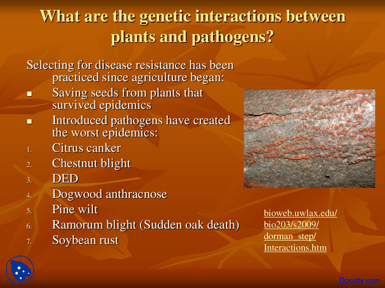 Plants And Pathogens Plant Pathology Lecture Slides Docsity