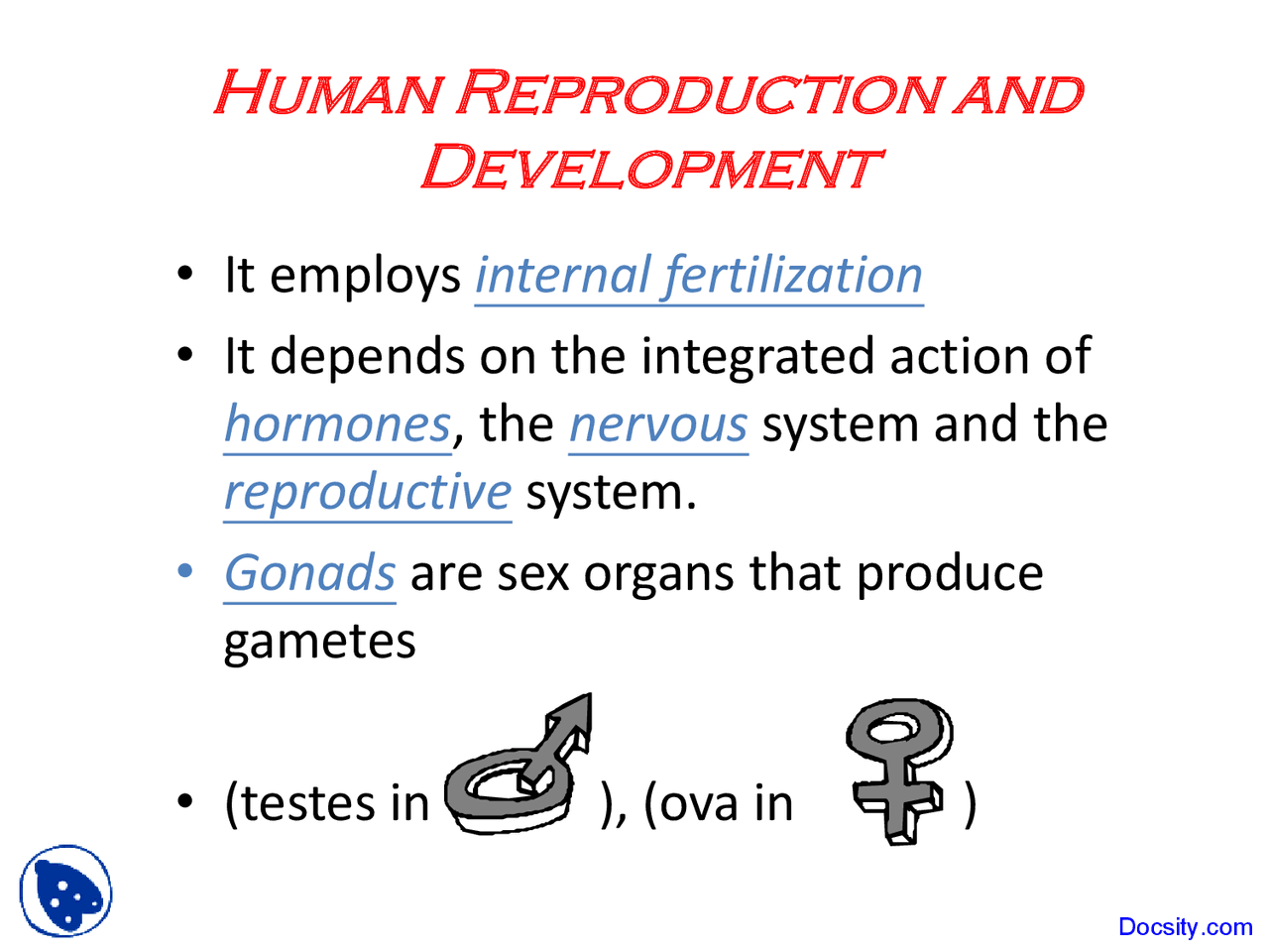 Human Production and Development - Different Branches of Biology ...