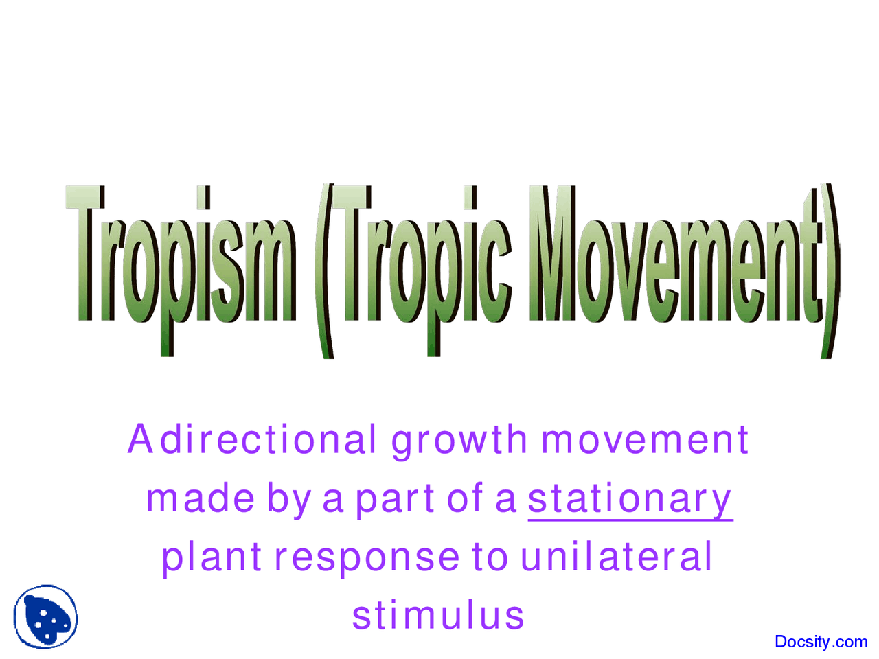 Tropism Different Branches Of Biology Lecture Slides Docsity