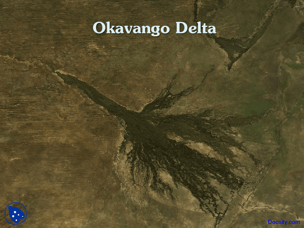 Okavango Delta Wetland And Riparian Ecology Lecture Slides Docsity