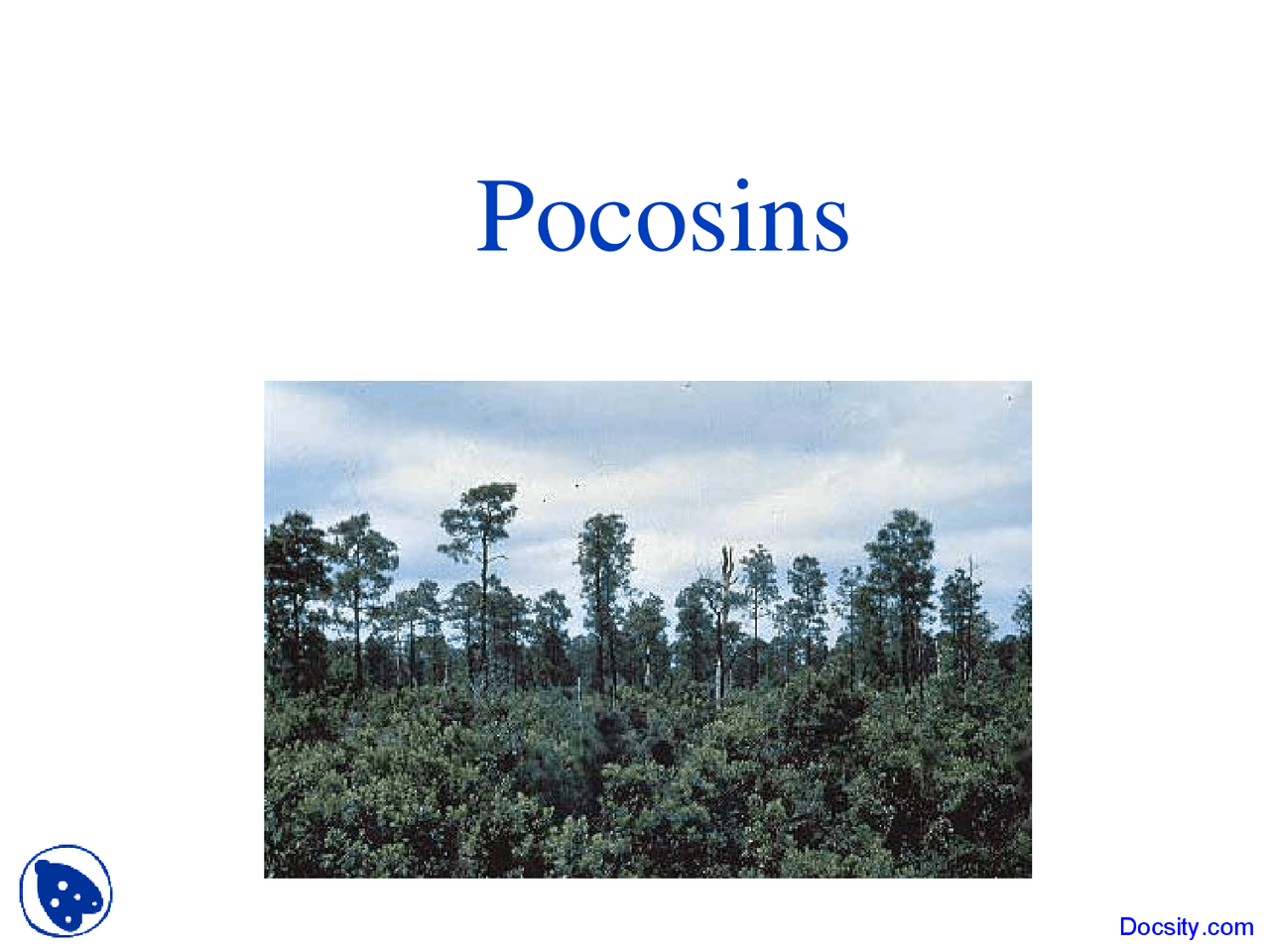 Pocosins Wetlands Lecture Slides Docsity