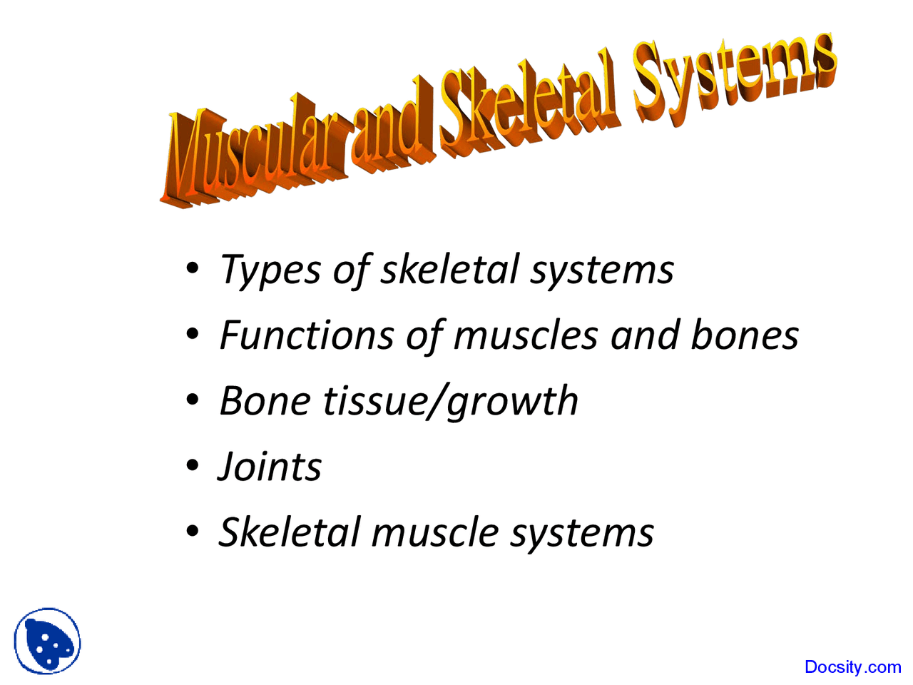 Anatomy of the Skeletal System: Types, Functions, and Muscle Systems ...