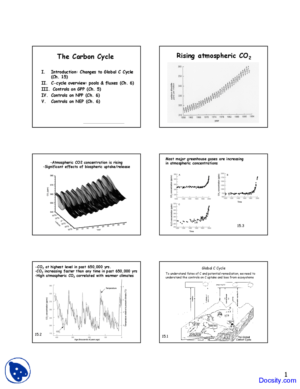 Carbon Cycle - Ecosystem Ecology and Global Change - Lecture Slides ...