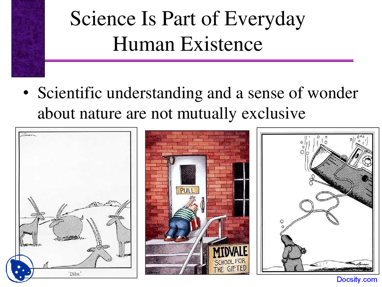 Human Existence - Plant and Animal Anatomy and Physiology - Lecture ...