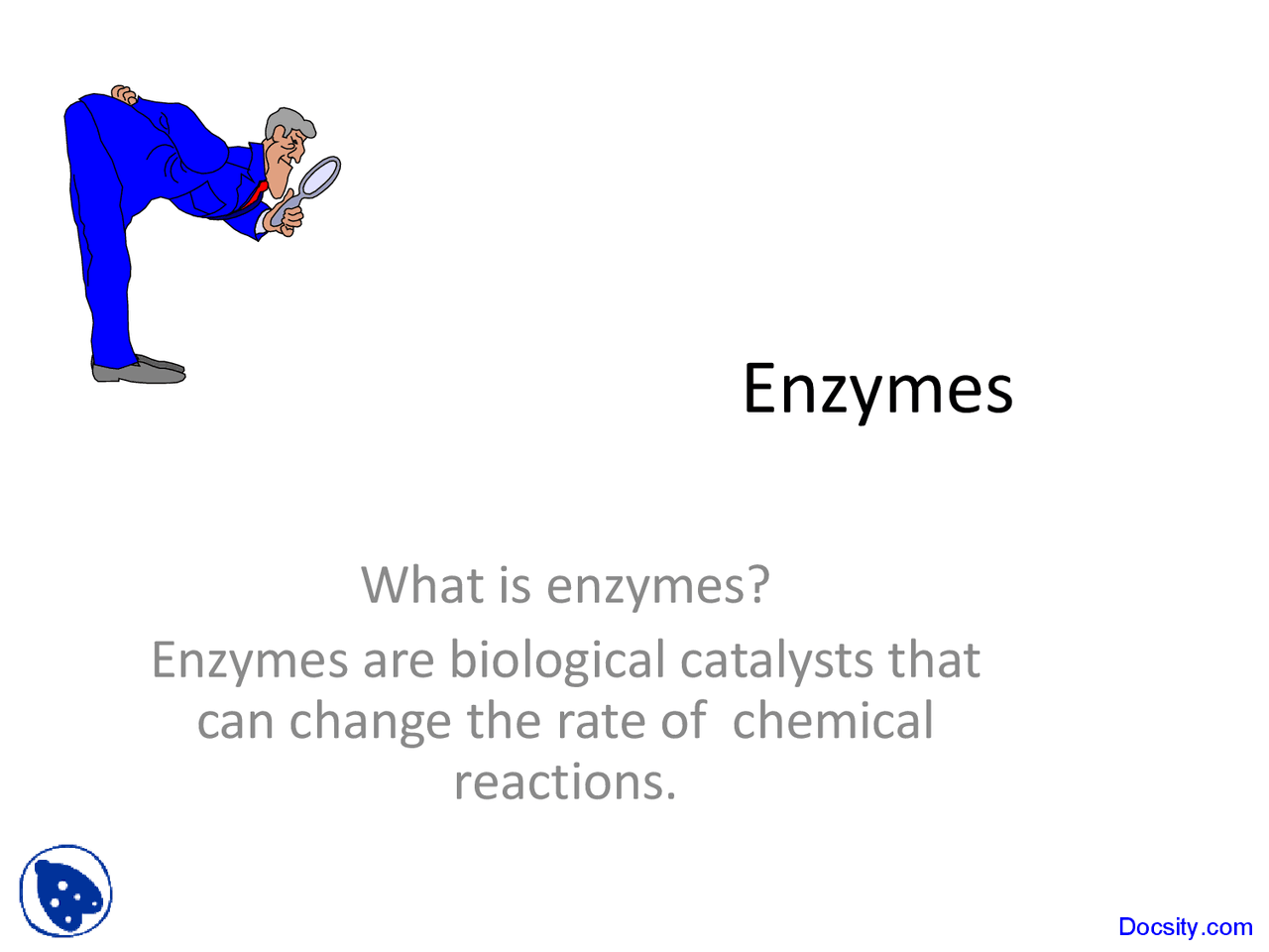Enzymes Different Branches Of Biology Lecture Slides Docsity