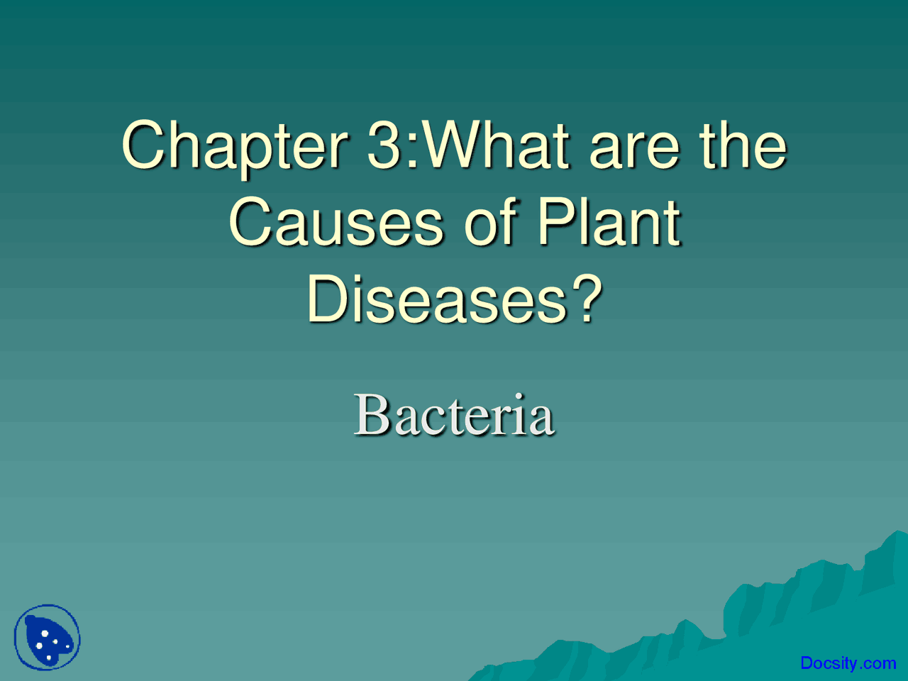 Bacteria Plant Pathology Lecture Slides Docsity