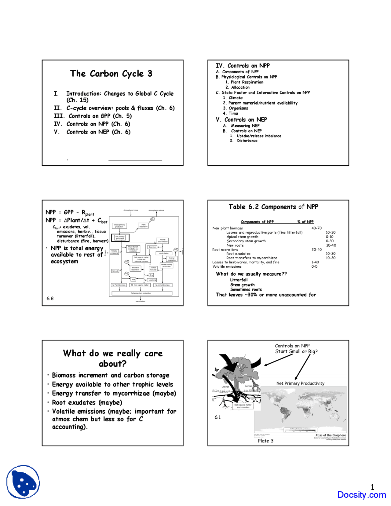 Carbon Cycle There - Ecosystem Ecology and Global Change - Lecture ...