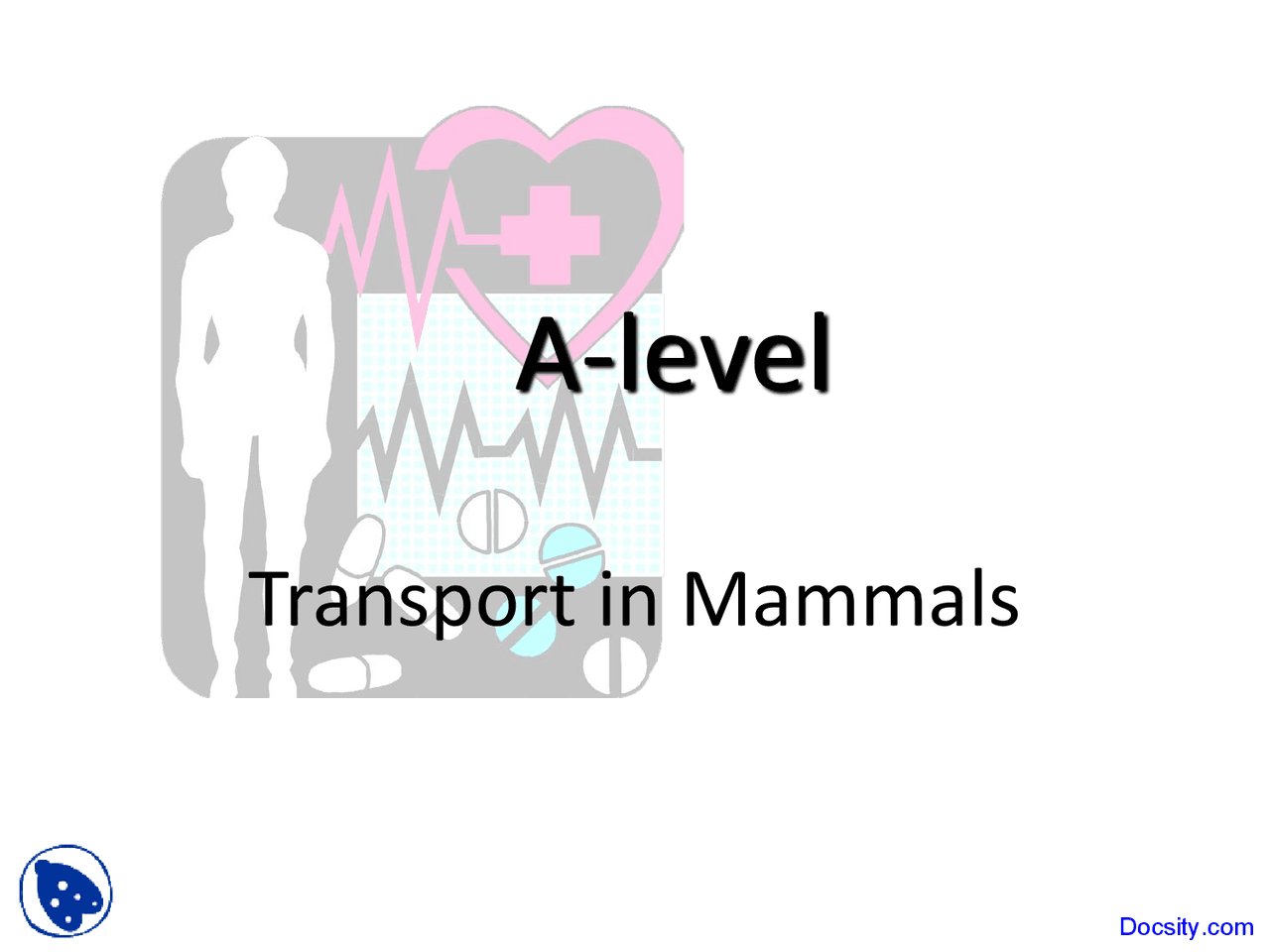 Transport In Mammals Different Branches Of Biology Lecture Slides