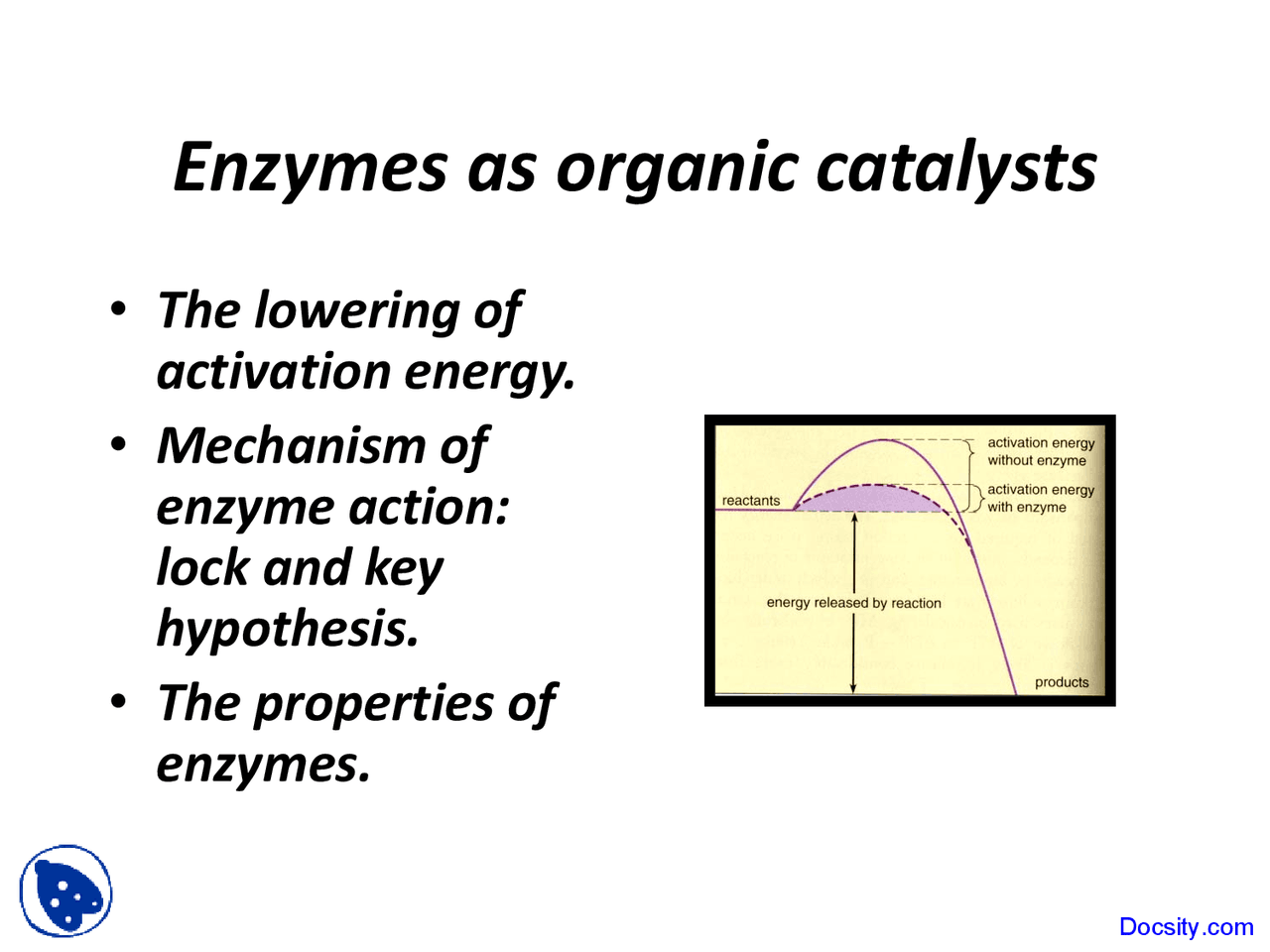 Organic Catalysts - Different Branches of Biology - Lecture Slides ...