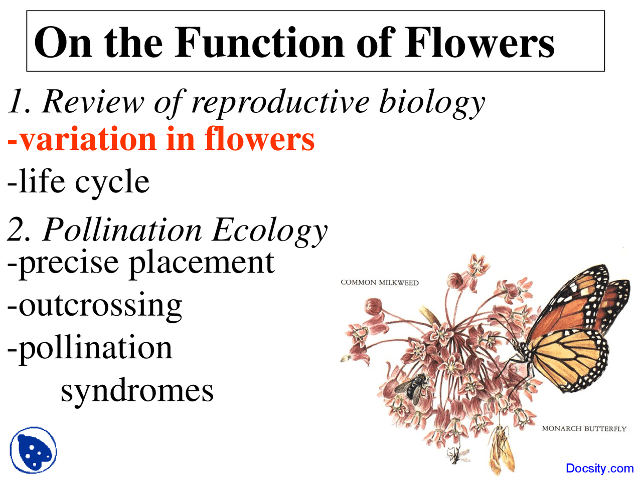 Function of Flowers - Exploring Biology - Lecture Slides - Docsity