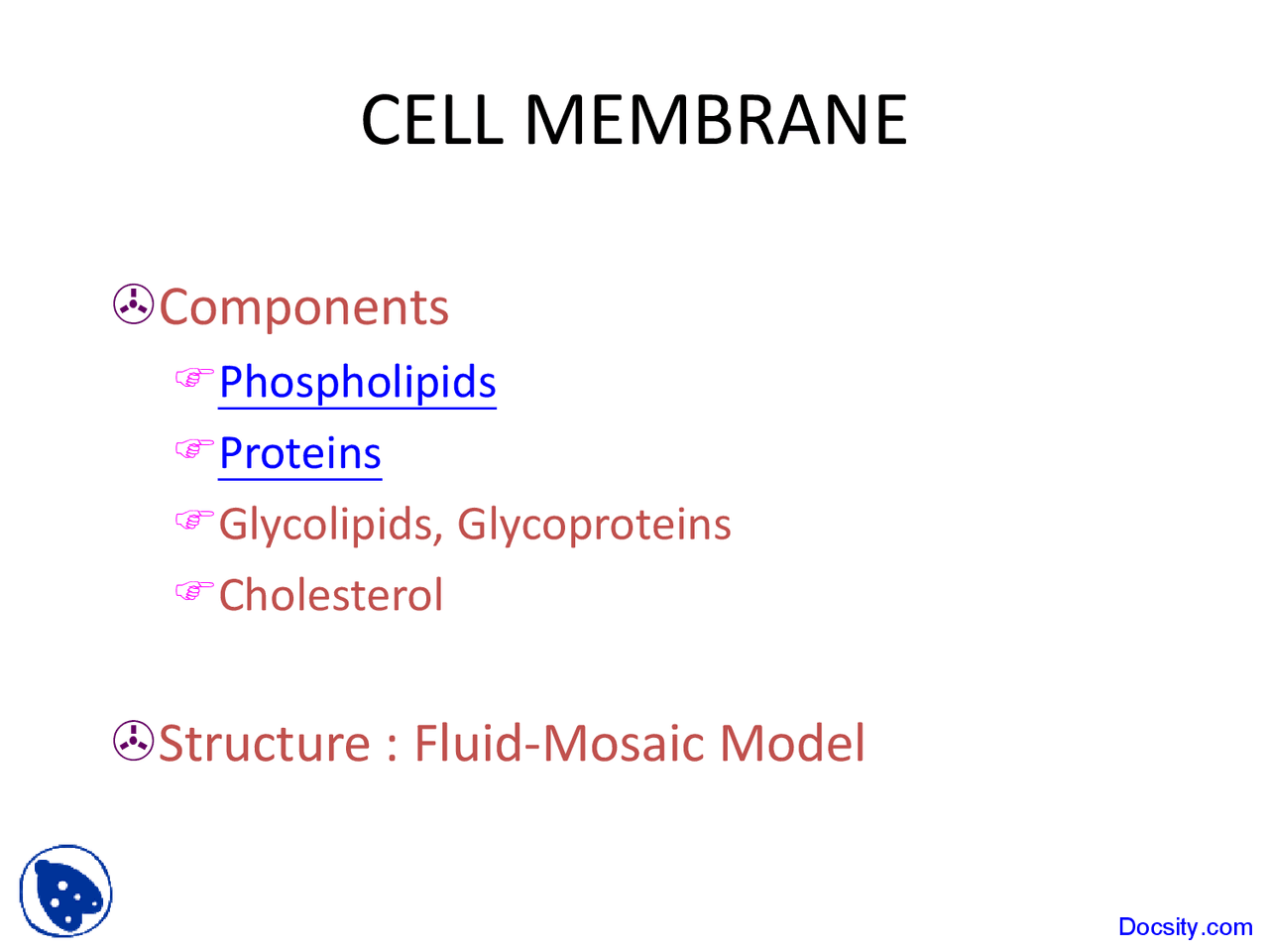 Cell Membrane Different Branches Of Biology Lecture Slides Docsity