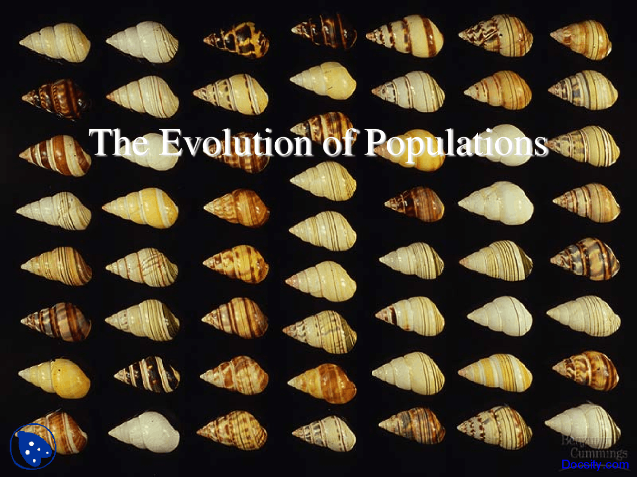 Evolution Of Populations Exploring Biology Lecture Slides Docsity