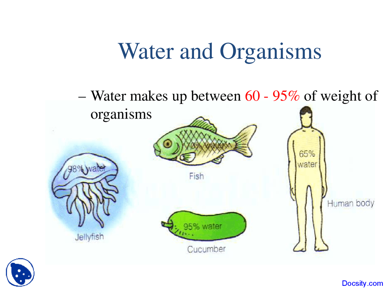 Water And Organisms Different Branches Of Biology Lecture Slides