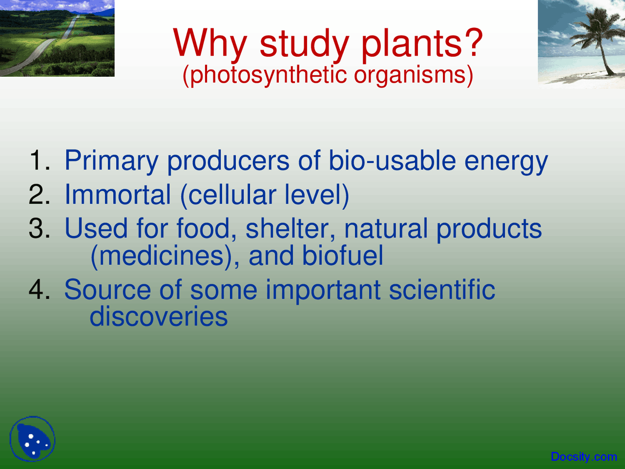 Photosynthetic Organisms Plant Molecular Biology Lecture Slides