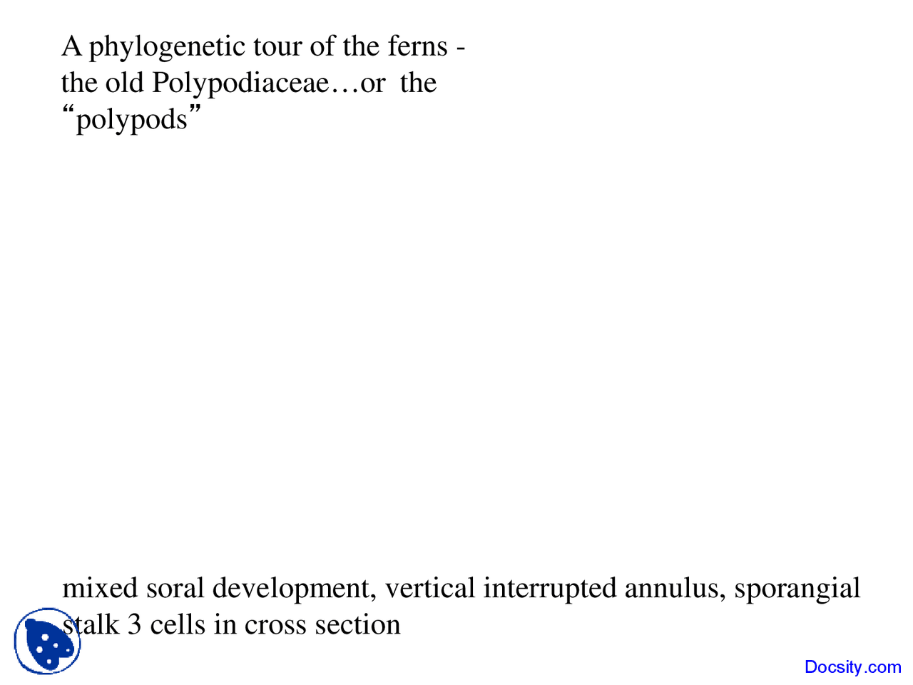 Phylogenetic Biology Of Ferns Plants Lecture Slides Docsity