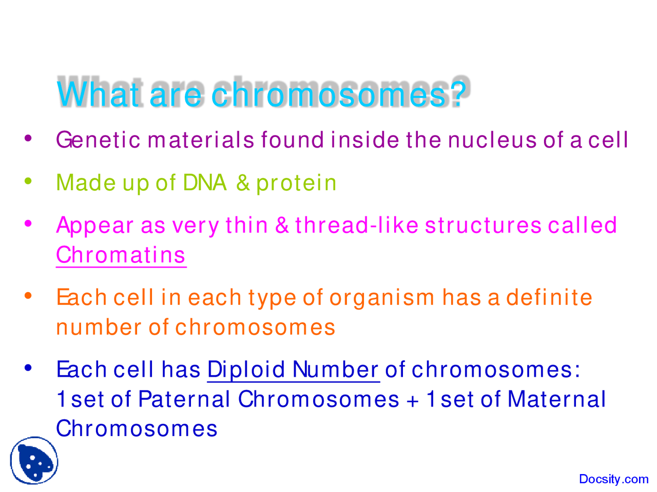 Chromosomes Different Branches Of Biology Lecture Slides Docsity