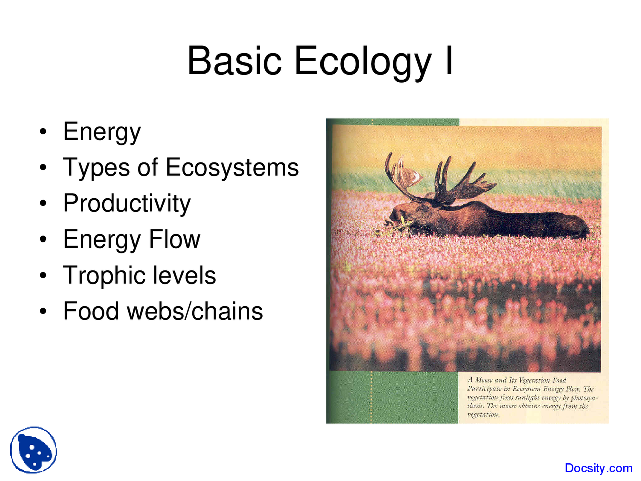 Basic Ecology Environmental Science Lecture Slides Docsity