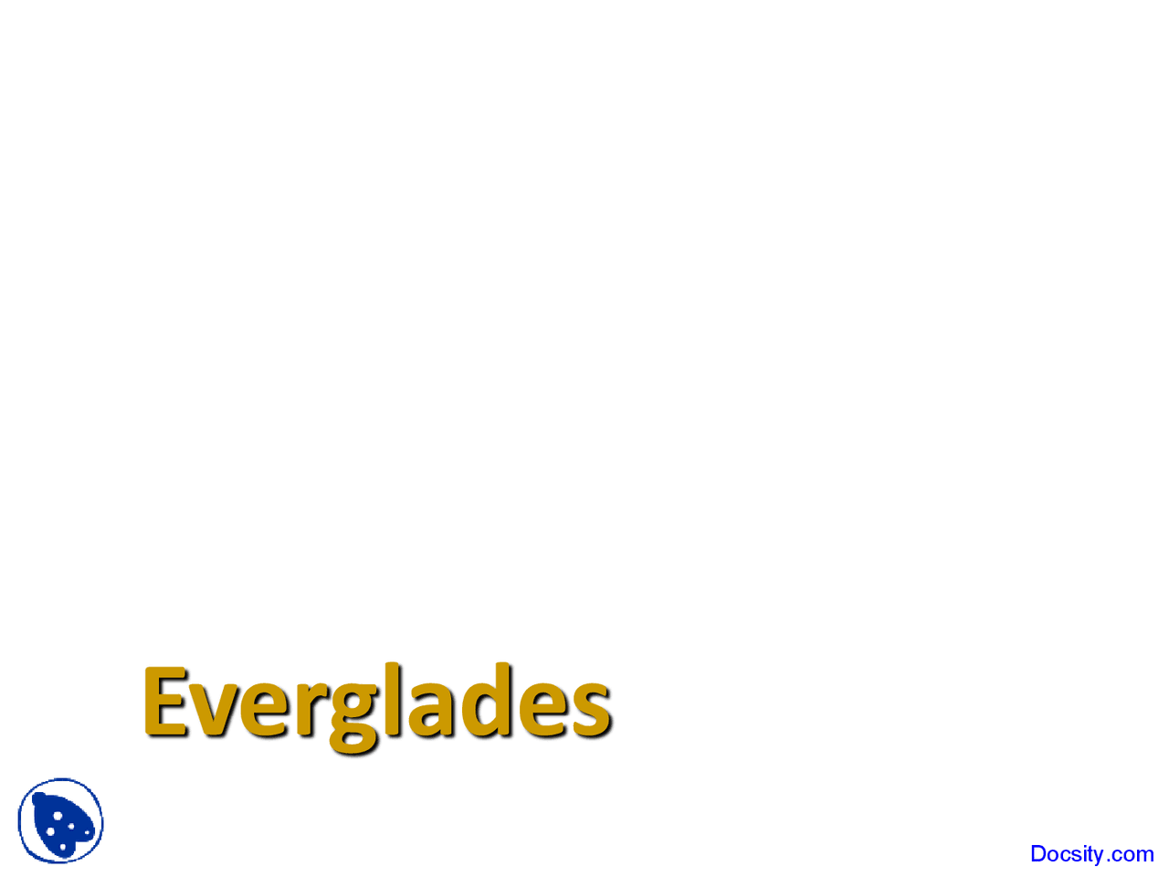 Everglades Wetlands Lecture Slides Docsity