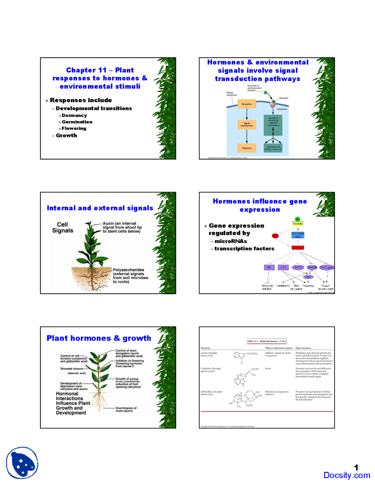 Responses to Hormones - Fundamentals of Botany - Lecture Slides - Docsity