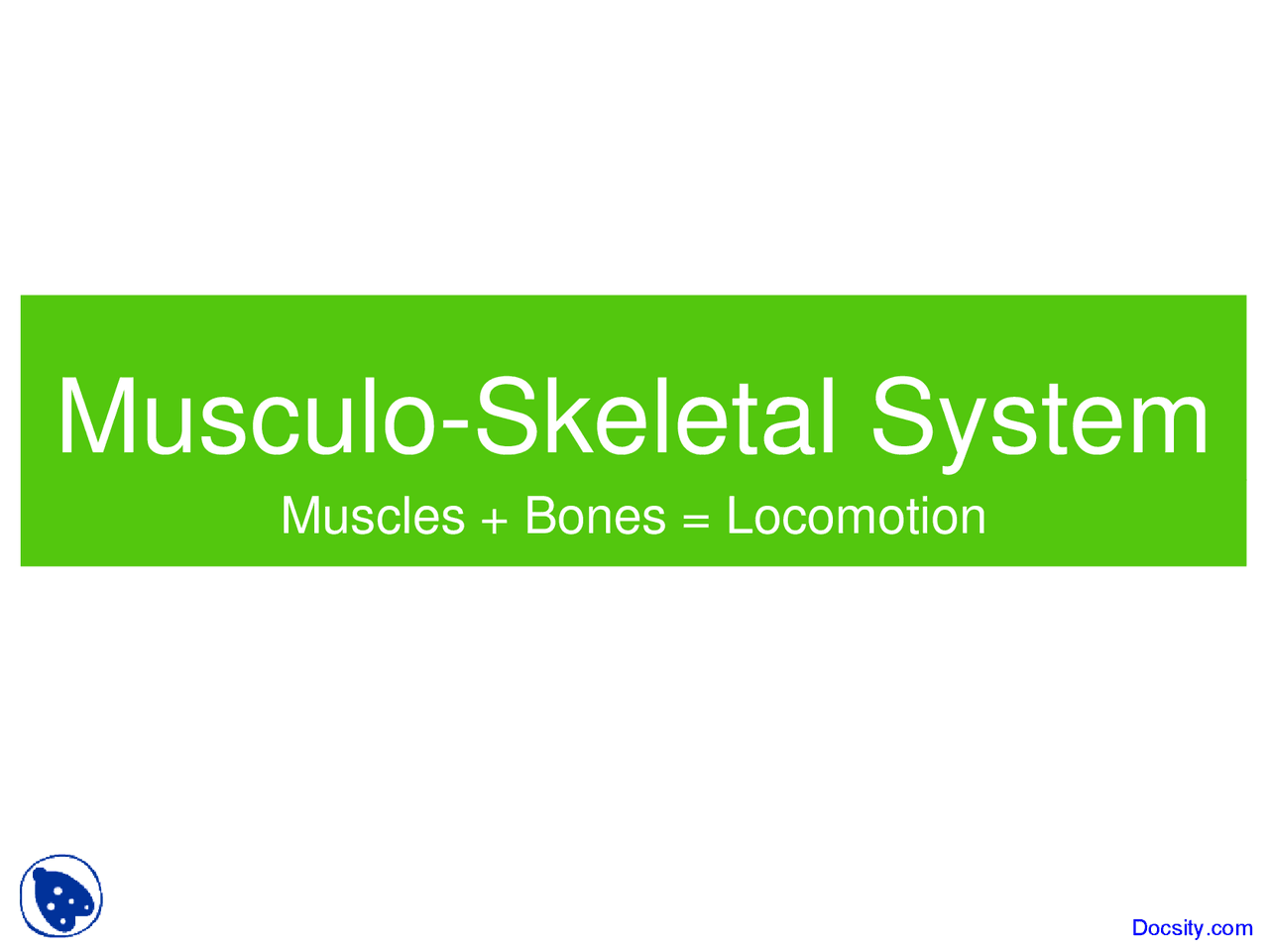 Locomotion - General Biology Plant and Animal Systems - Lecture Slides ...