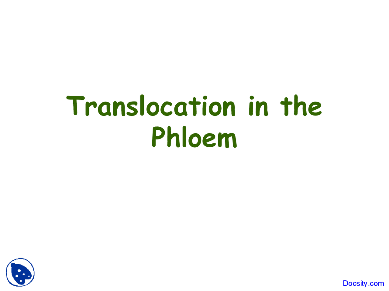 Translocation In The Phloem General Botany Lecture Slides Docsity