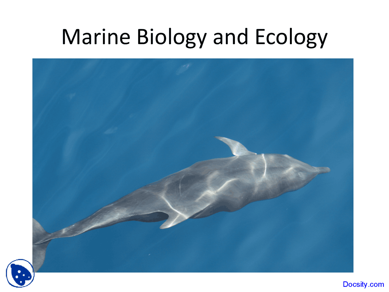 Marine Biology and Ecology - Introduction to Oceanography - Lecture ...